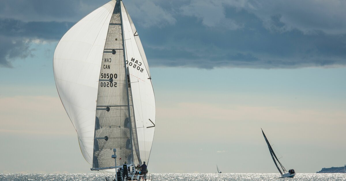 ALL ONBOARD: How Board Management Tools Can Ensure Smooth Sailing - Vahura